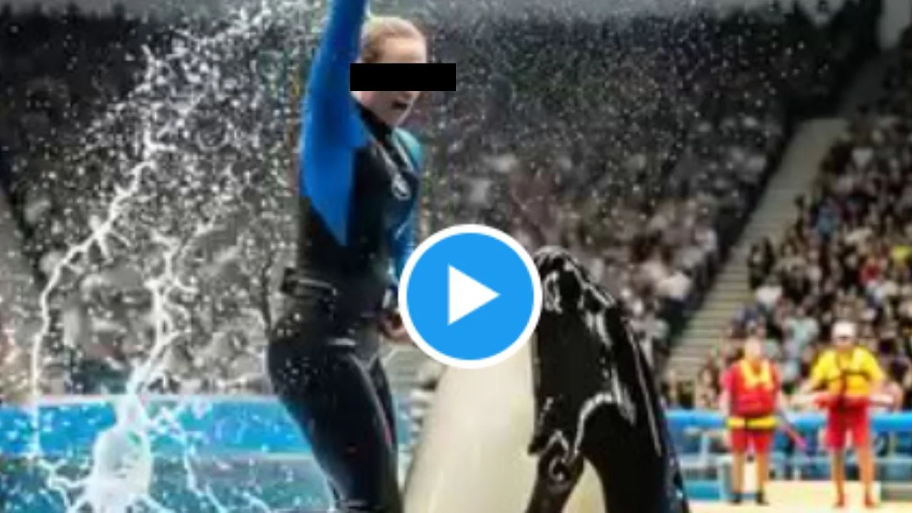 Jessica Radcliffe video: entrenadora muere por una orca ¿qué le pasó ...
